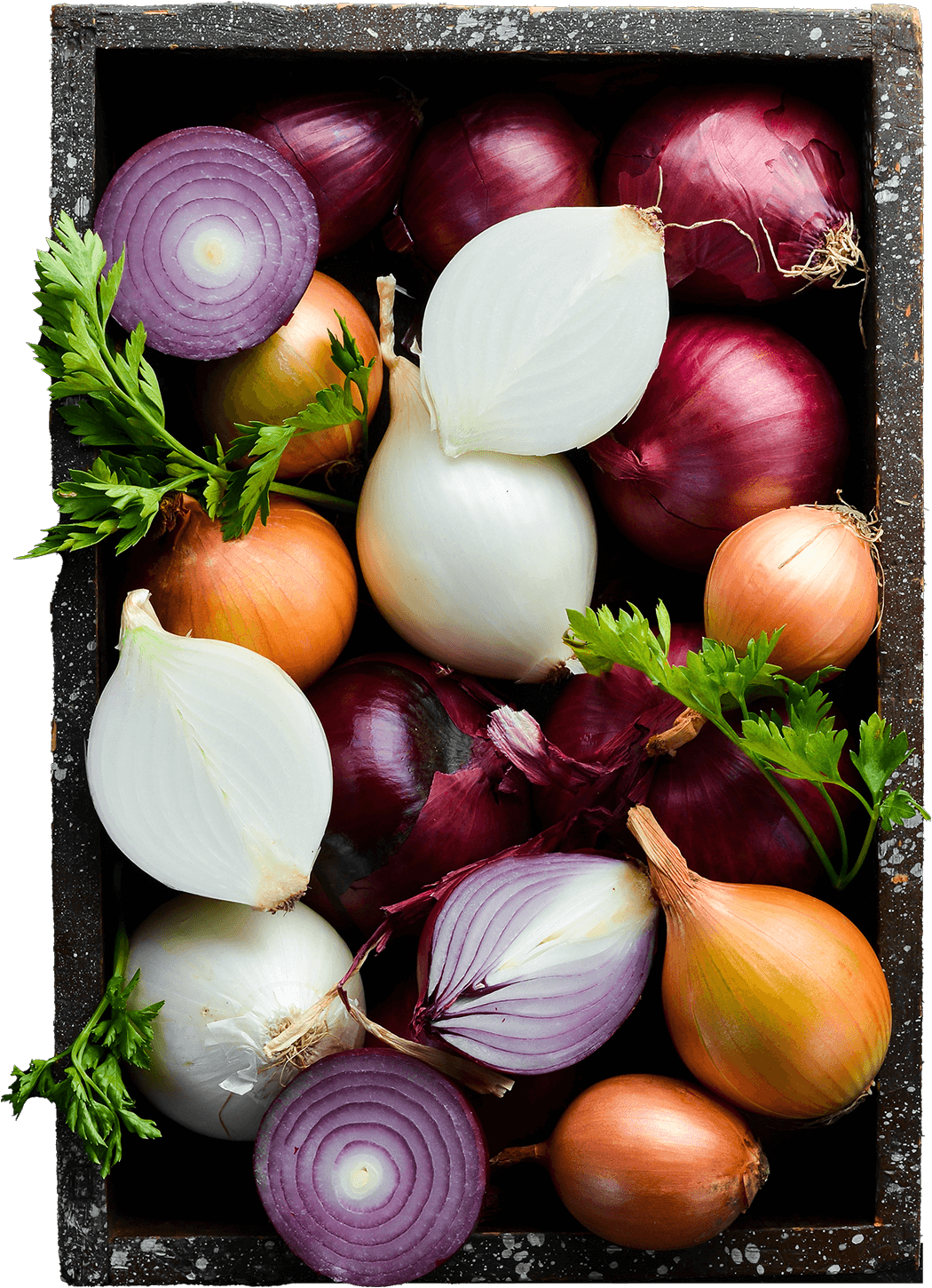 Peeling back the layers of the versatile Onion | Food Town